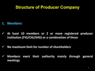 Producer organizations in agriculture | PDF