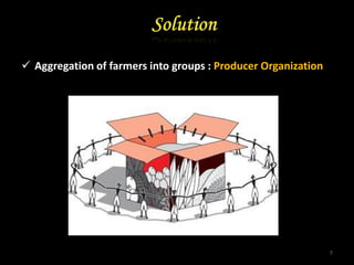 Producer organizations in agriculture | PDF