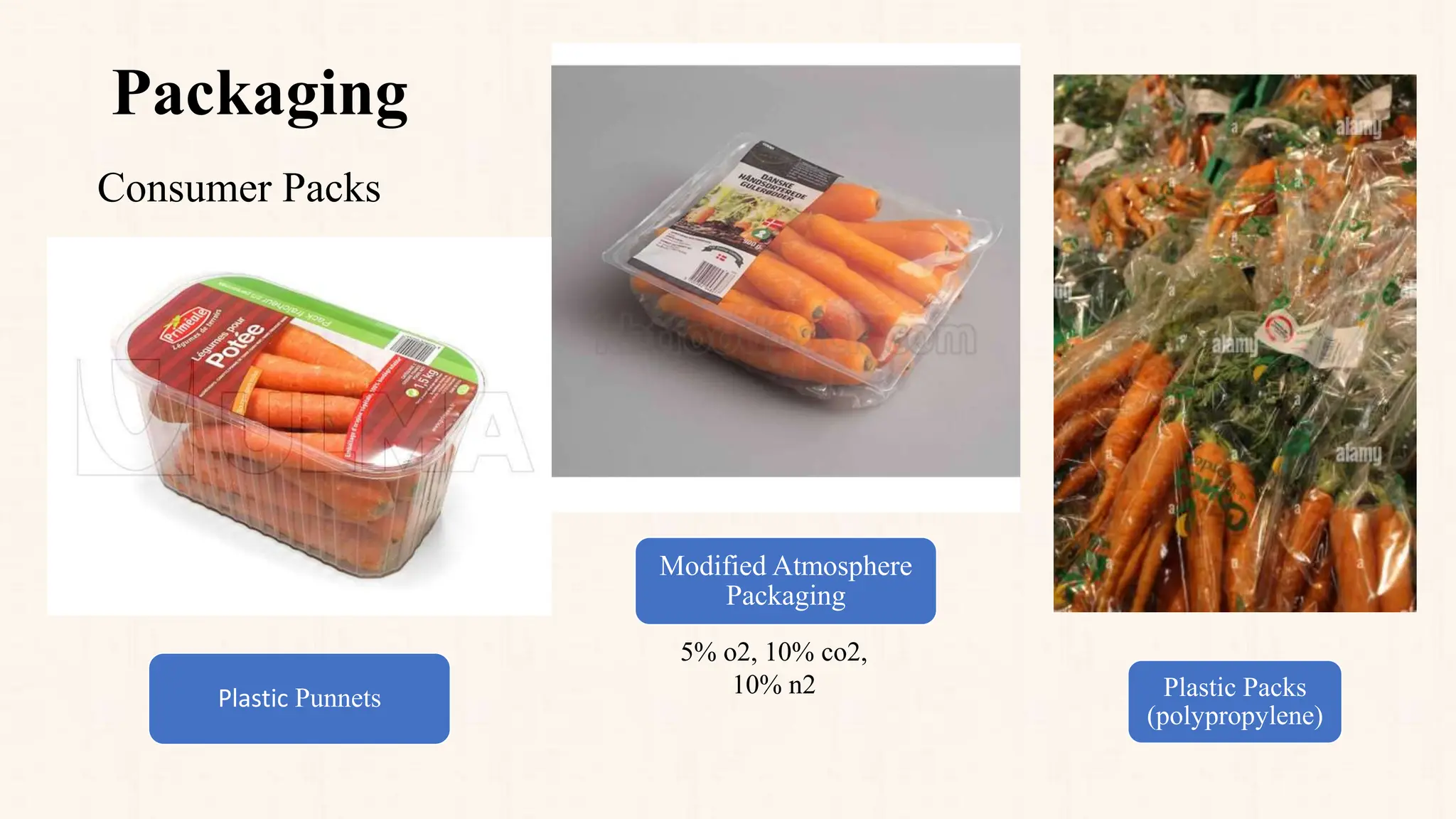 Post Harvest Management Practices of Carrot.pptx