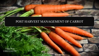 Post Harvest Management Practices of Carrot.pptx