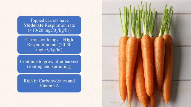 Post Harvest Management Practices of Carrot.pptx