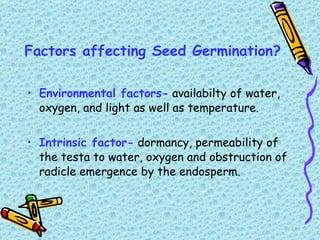Plant Physiology Report | PPT