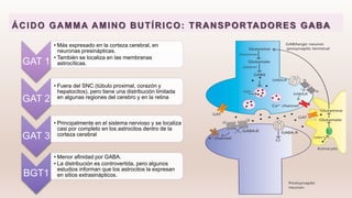 GABA.pptx