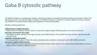 GABA( gamma amino butyric acid ) the inhibitory nurotrasmitter | PPTX ...
