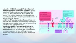 GABA( gamma amino butyric acid ) the inhibitory nurotrasmitter | PPT