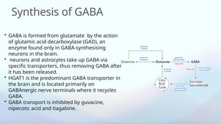 GABA( gamma amino butyric acid ) the inhibitory nurotrasmitter | PPTX | Brain and Nervous System ...