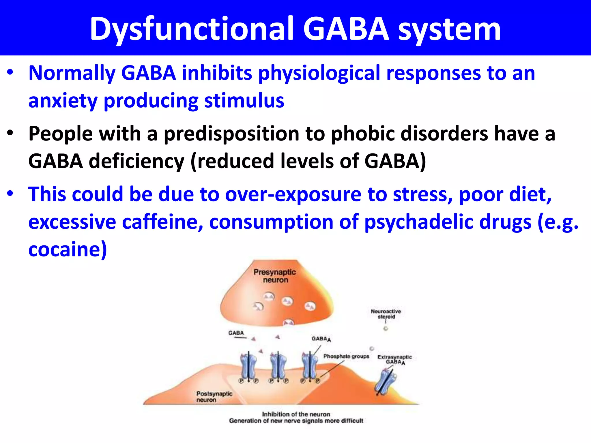 Gaba & benzodiazepines | PPTX