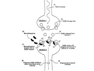 Gaba & benzodiazepines | PPTX