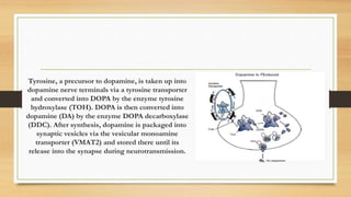 Neurotransmitter | PPT