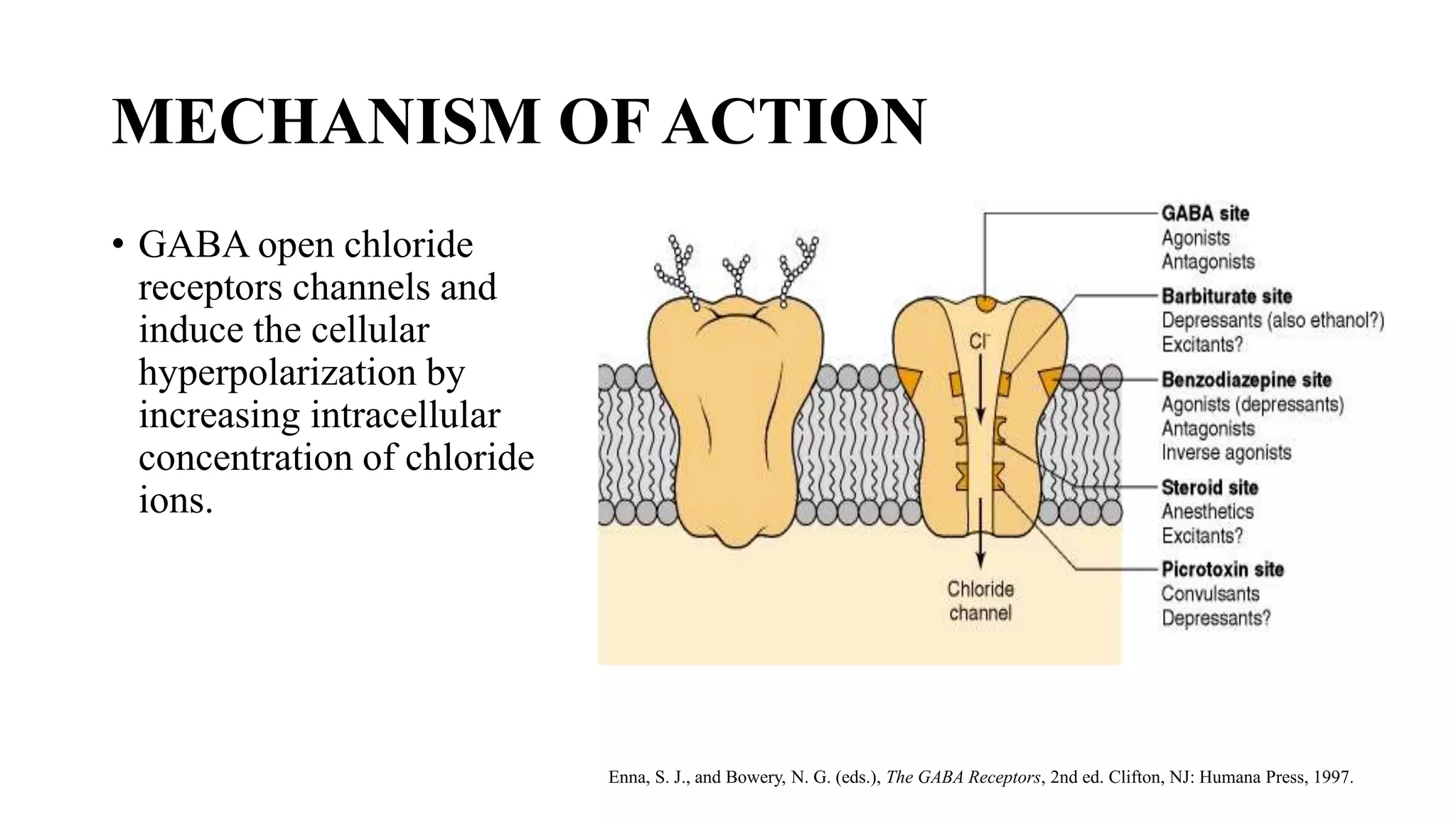 Gabaergic system by Siddhartha Das | PPTX