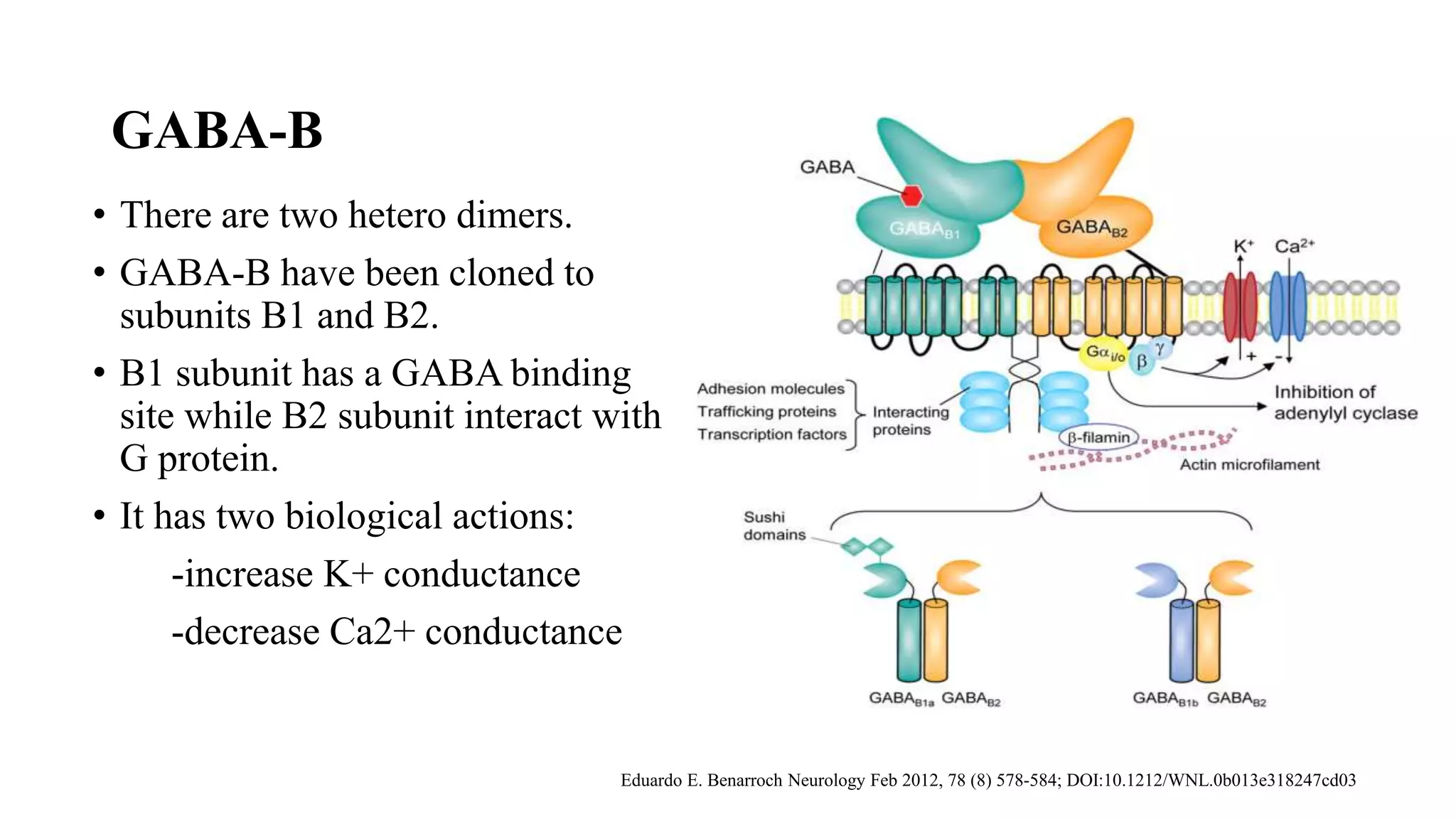 Gabaergic system by Siddhartha Das | PPTX
