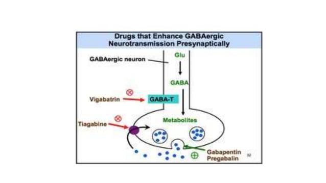 Drug Monitoring and Pharmacokinetics of Gabapentin, Clinical Pharmacy ...