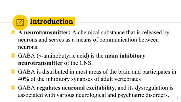 GABA (Gamma aminobutyric acid) | PPTX | Brain and Nervous System ...