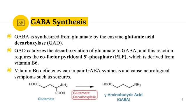 GABA (Gamma aminobutyric acid) | PPTX | Brain and Nervous System ...