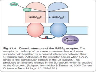 gaba receptor.pptx | Brain and Nervous System Disorders | Diseases and ...