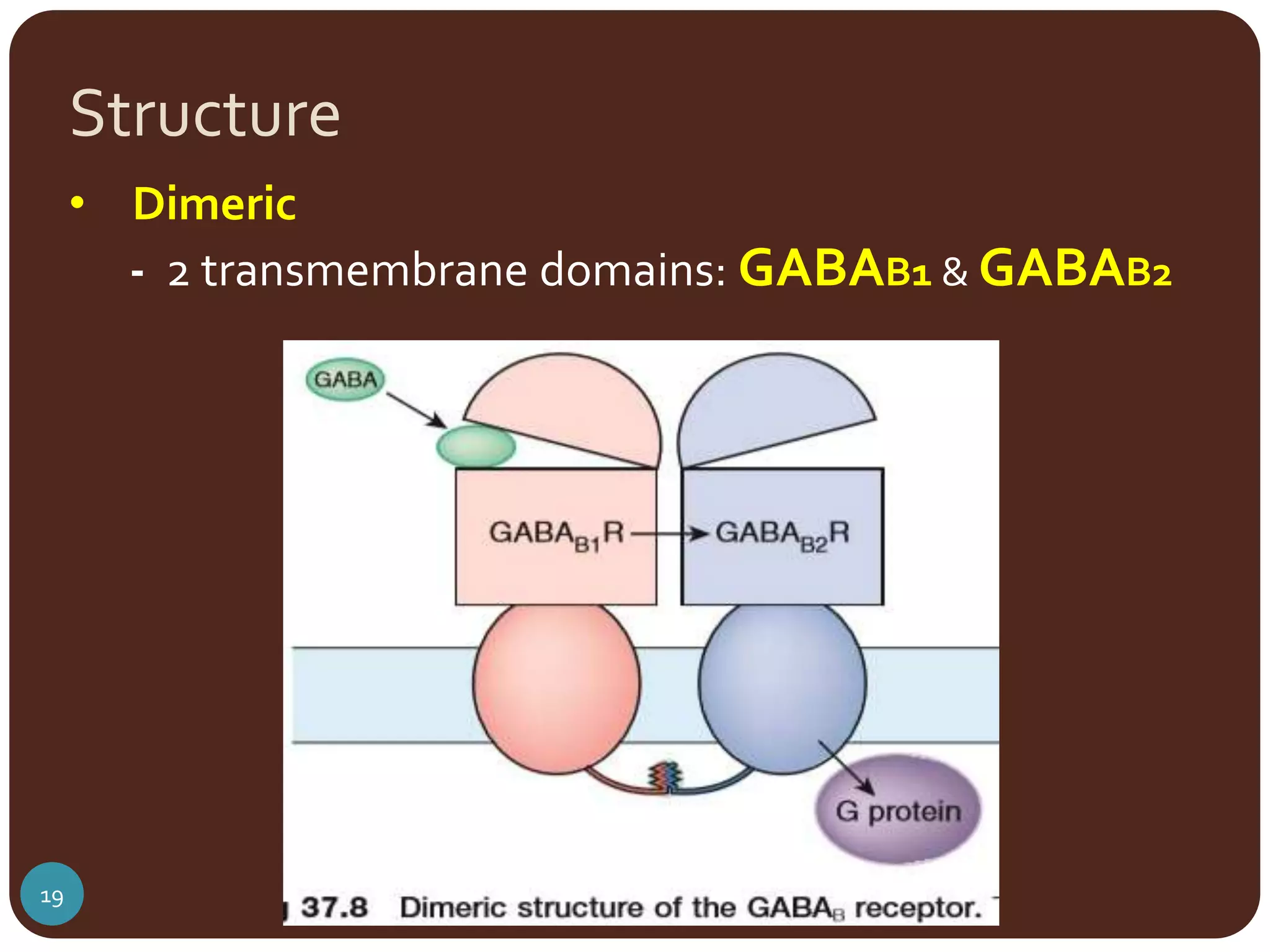 Gaba receptors & drugs acting on them | PPTX