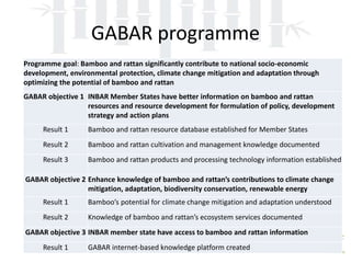 The Global Assessment of Bamboo and Rattan for green development | PPTX ...