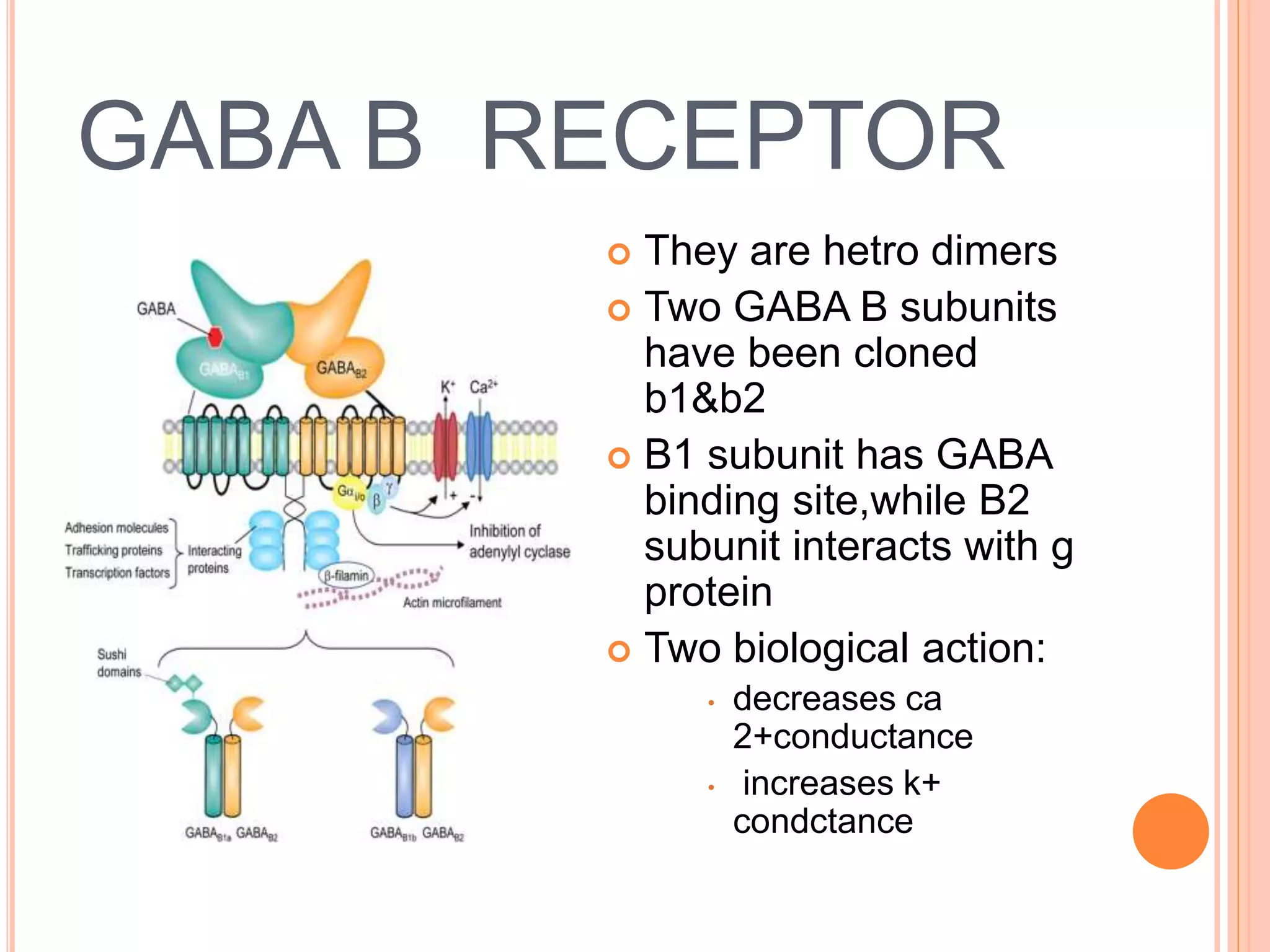 neurotransmitter gaba | PPTX