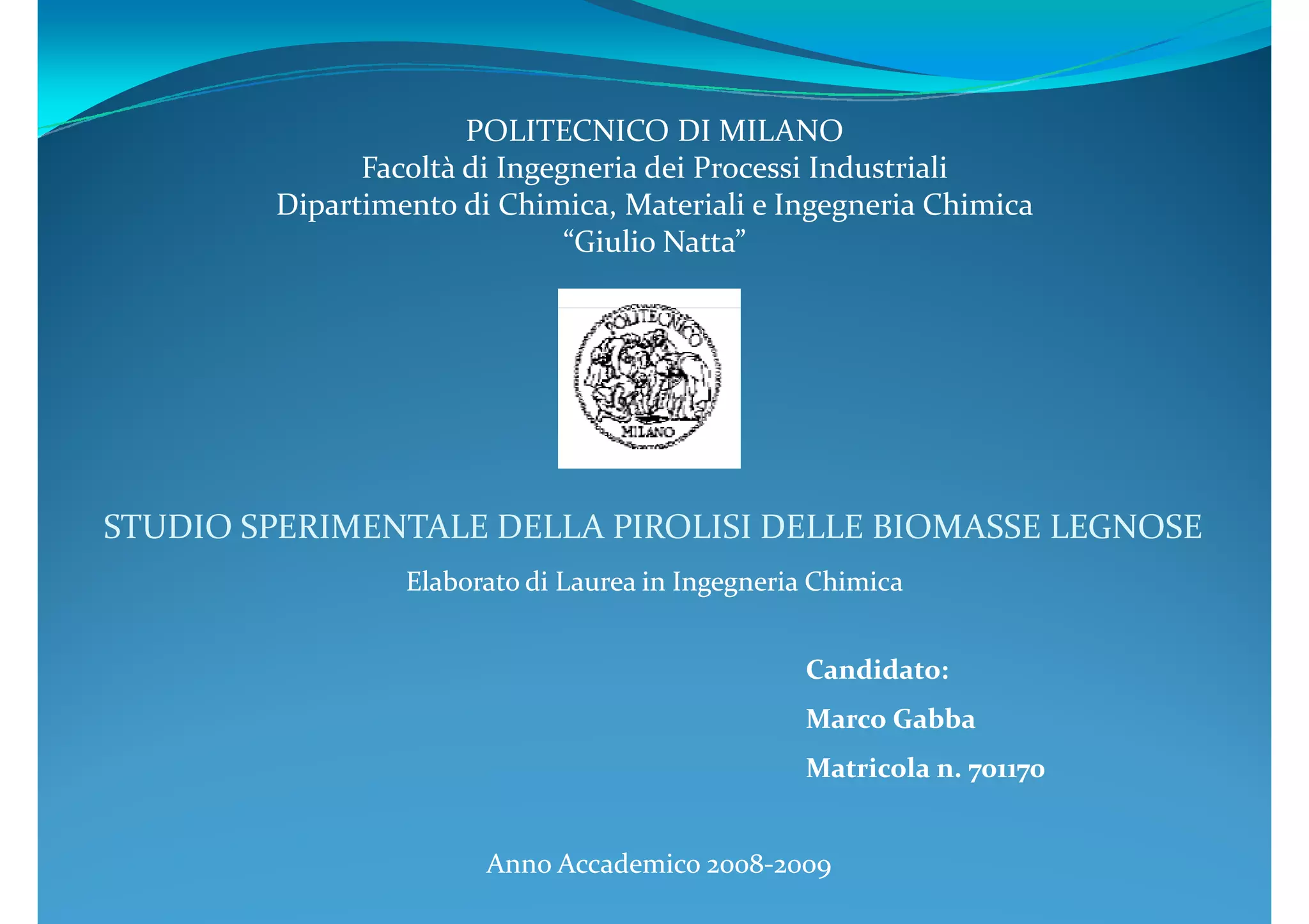 Studio sperimentale della pirolisi di biomasse legnose | PDF