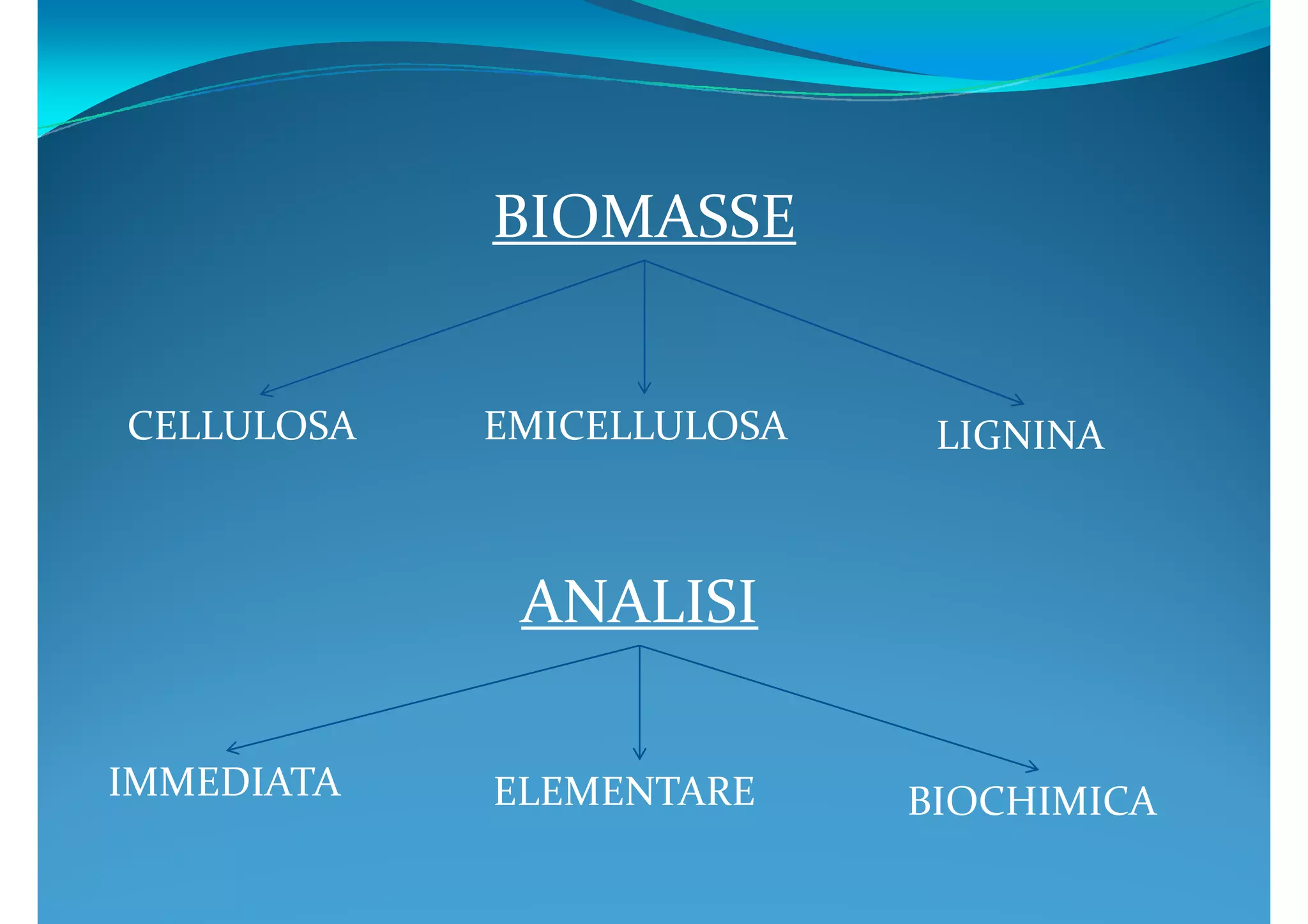 Studio sperimentale della pirolisi di biomasse legnose | PDF