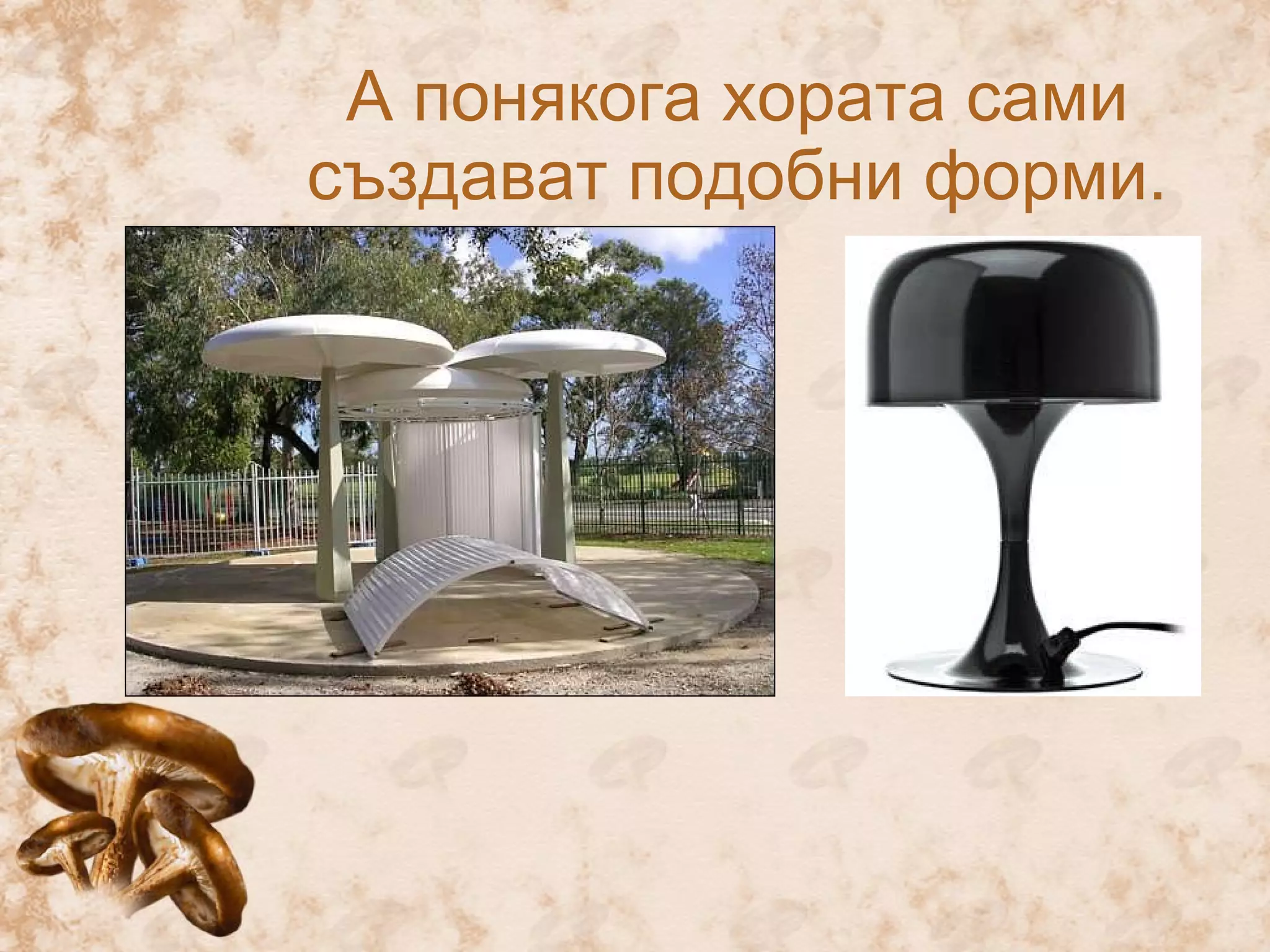 Gabite V Prirodata | PPS