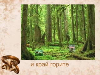 Gabite V Prirodata | PPS