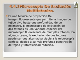 Microscopia | PPT