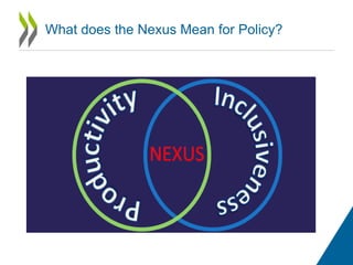 The Productivity-Inclusiveness Nexus | PDF