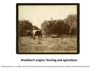 Gabriel Furman's Brooklyn | PPT