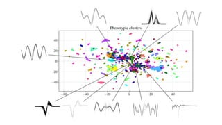 Real-world Applications of Symbolic Regression | PDF | Computing ...