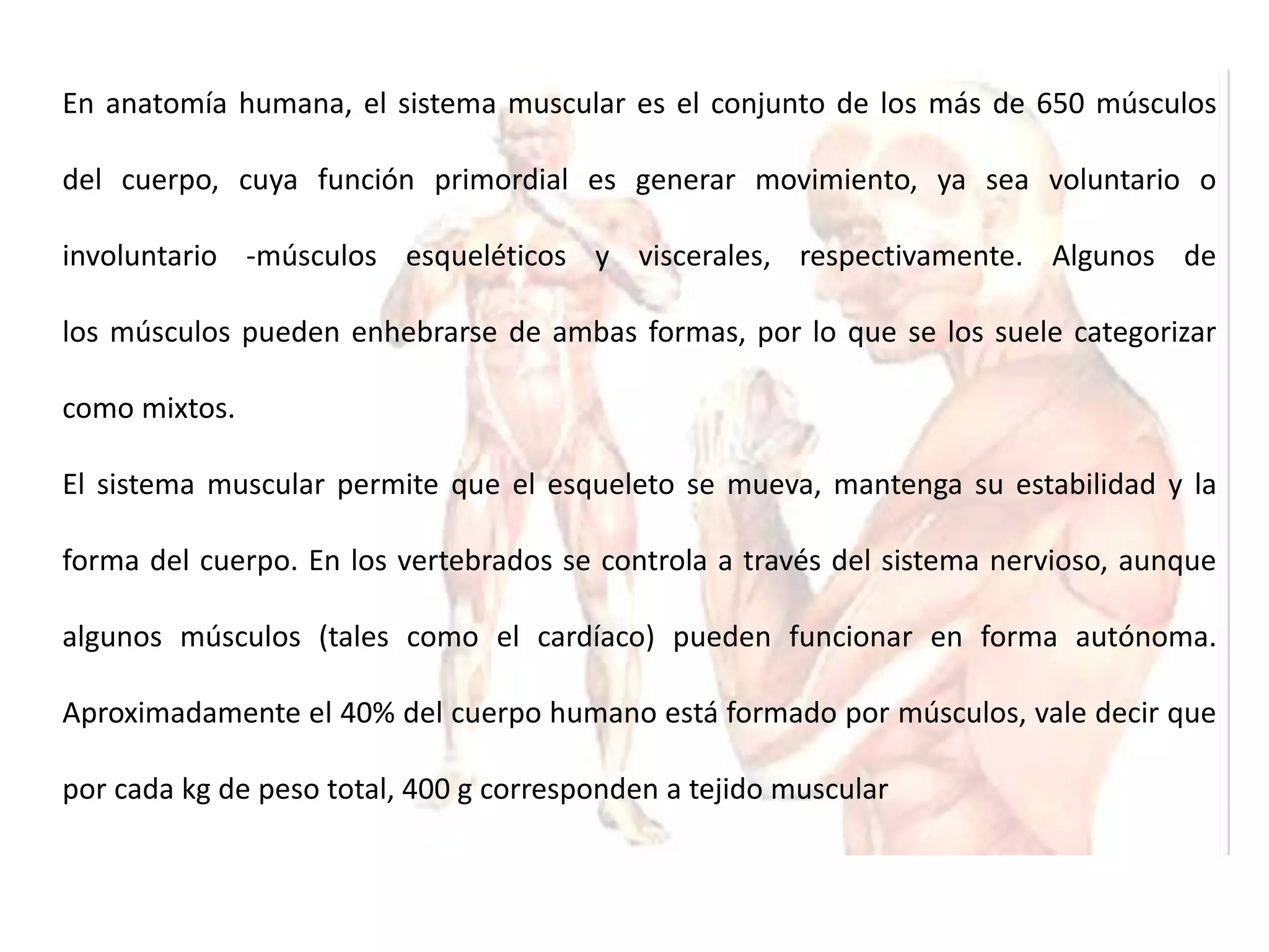 Sistema muscular | PPTX