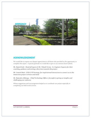 Gabriel strategy report sp jain school of global management | PDF