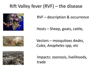 Persistence of Rift Valley fever virus in East Africa | PPT