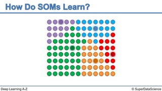Deep Learning A-Z™: Self Organizing Maps (SOM) - How do SOMs learn ...
