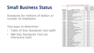 Doing Business with the Government | PPTX