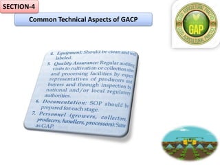 Notes on GACP Guidelines part of herbal Drug Technology | PPTX