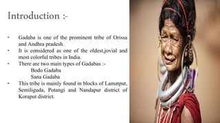 Gadaba tribe | PPTX