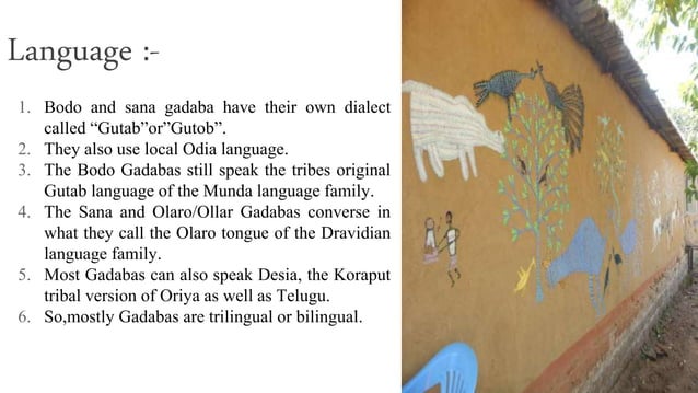 Gadaba tribe | PPTX