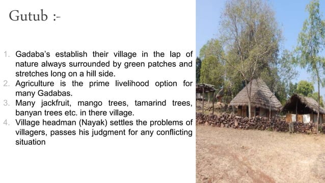Gadaba tribe | PPTX