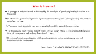 EFFECT OF Bt COTTON ON SOIL BIOTA | PPTX