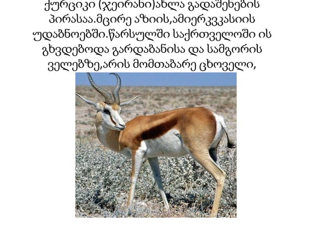 Gadashenebis piras myofi cxovelebi | PPTX