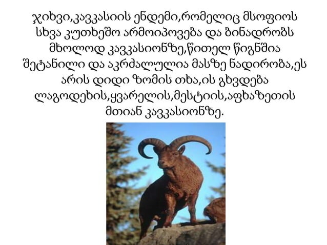Gadashenebis piras myofi cxovelebi | PPTX