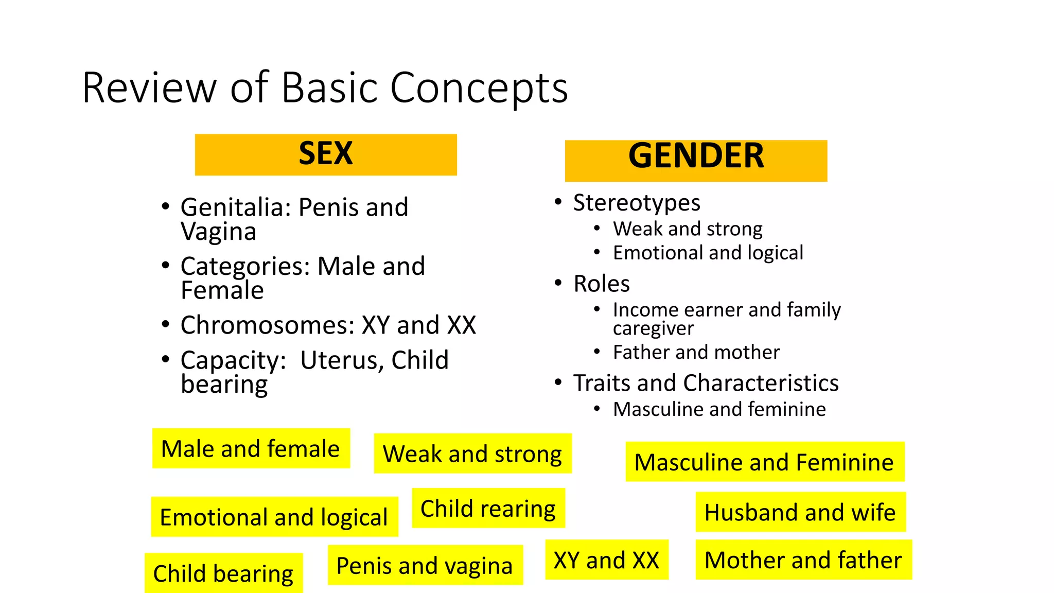 GAD Orientation for Gender Responsive Schools | PPSX