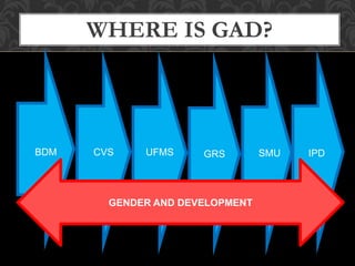 Pantawid GAD-GRS Process Flow FO2 | PPT