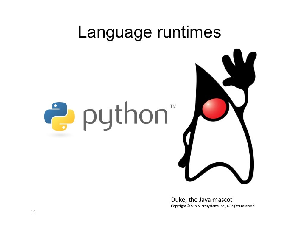 Language runtimes 19 Duke, the Java mascot Copyright © Sun Microsys…