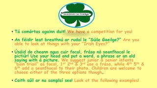 Súile Gaeilge 2019 | PPTX