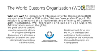 Gael Grooby_HS Codes Development for Bamboo and Rattan Commodities | PDF