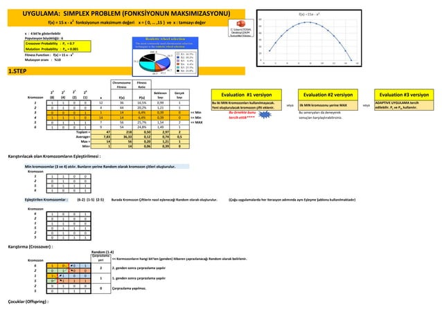 Genetic Algorithm Examples & Presentation (in Turkish) | PDF
