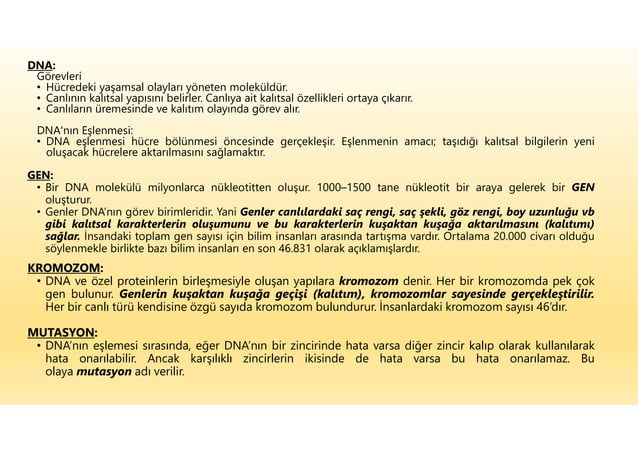 Genetic Algorithm Examples & Presentation (in Turkish) | PDF