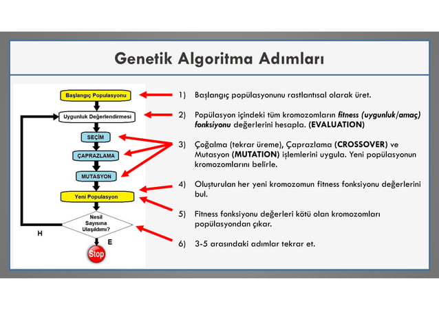 Genetic Algorithm Examples & Presentation (in Turkish) | PDF